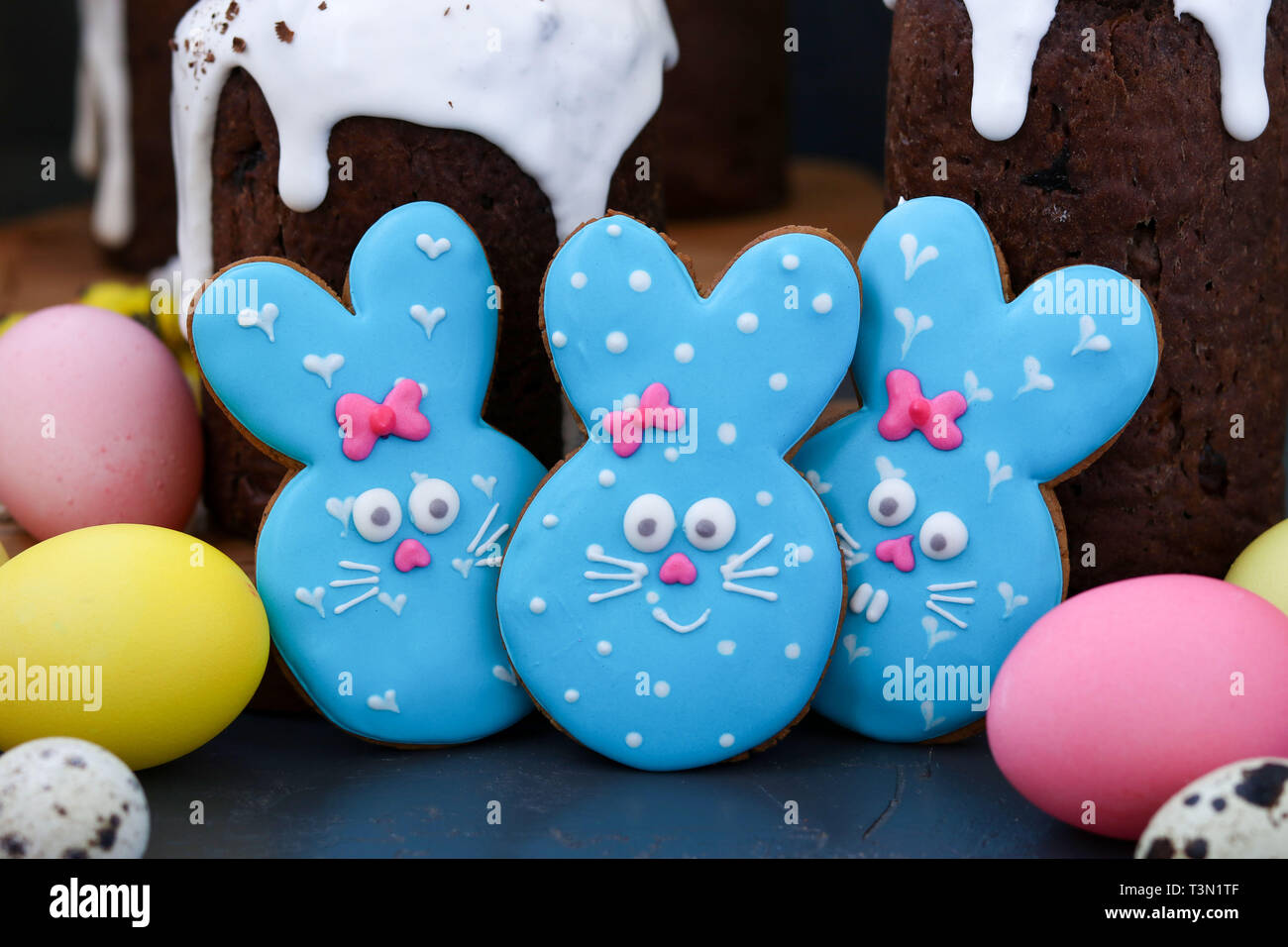 Rabbit shaped biscuit hi-res stock photography and images - Alamy