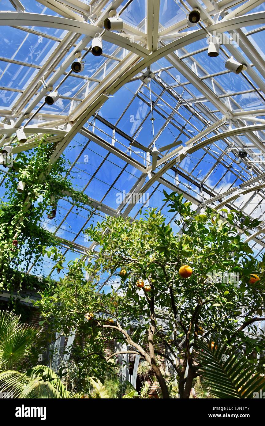 The greenhouse at Tower Hill Botanical Gardens by the Worcester County ...