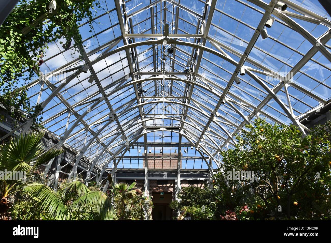The greenhouse at Tower Hill Botanical Gardens by the Worcester County ...