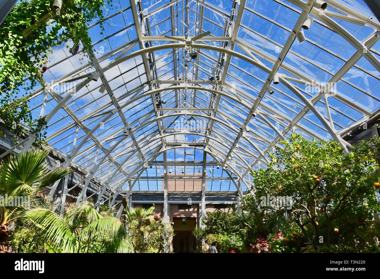 The greenhouse at Tower Hill Botanical Gardens by the Worcester County ...