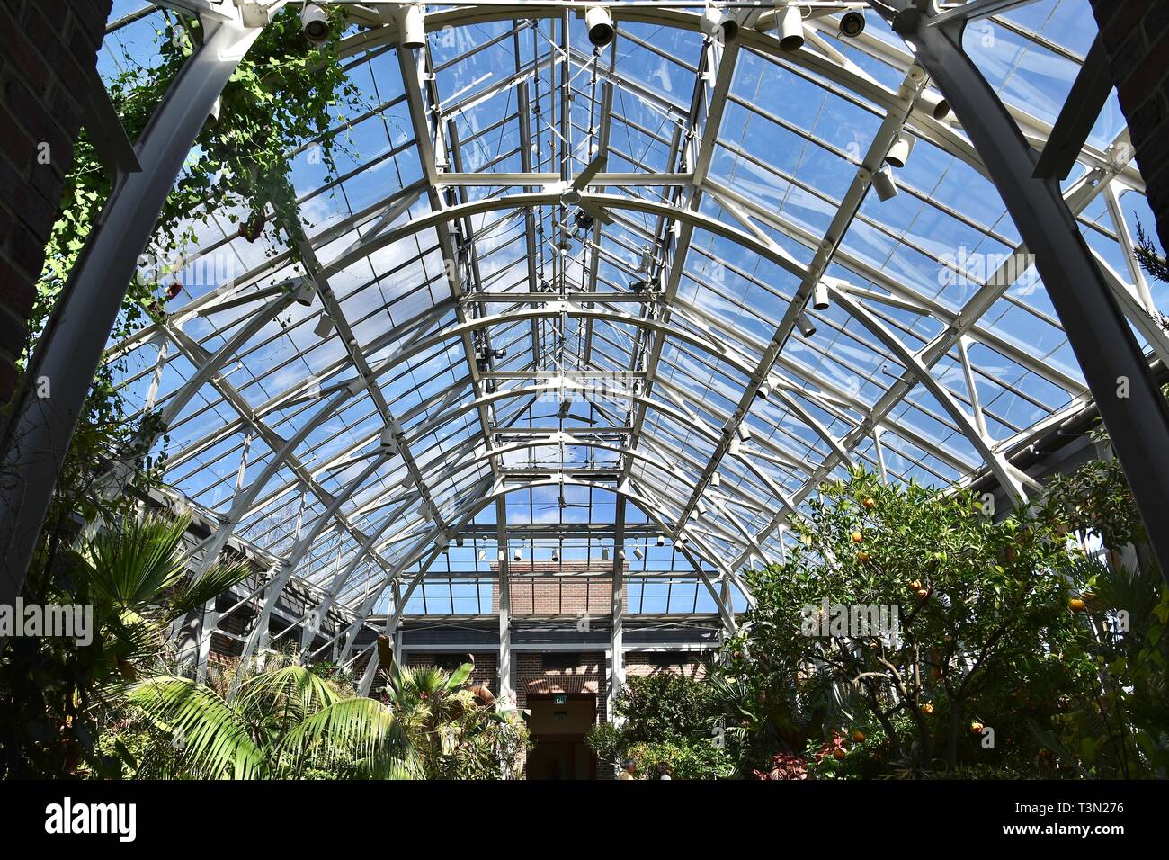 The greenhouse at Tower Hill Botanical Gardens by the Worcester County ...