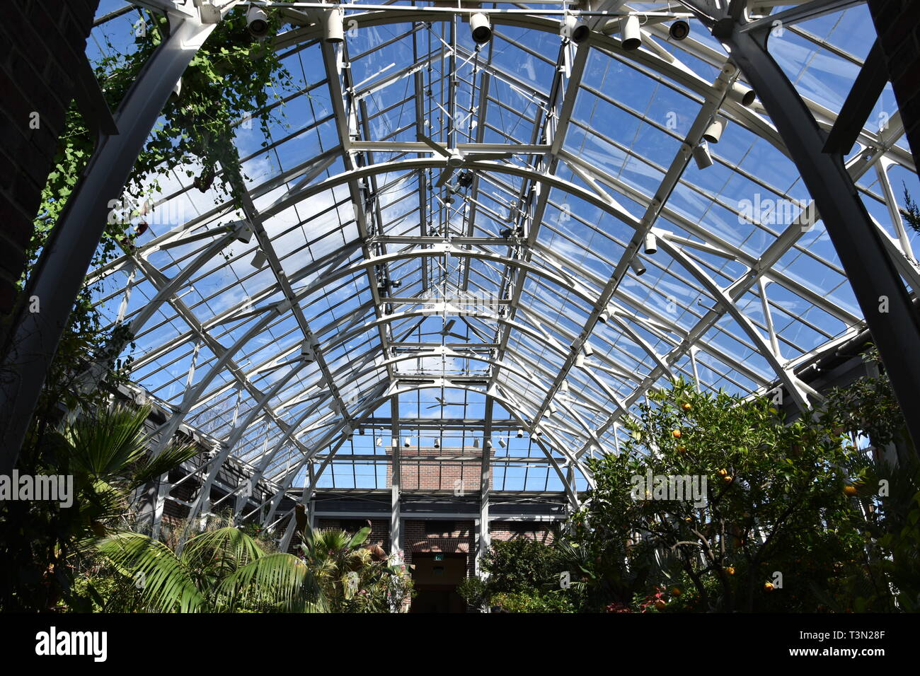 The greenhouse at Tower Hill Botanical Gardens by the Worcester County ...