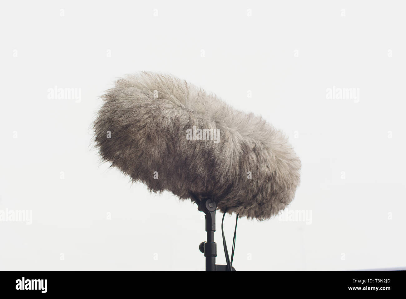 fur for microphone isolated on white background Stock Photo - Alamy