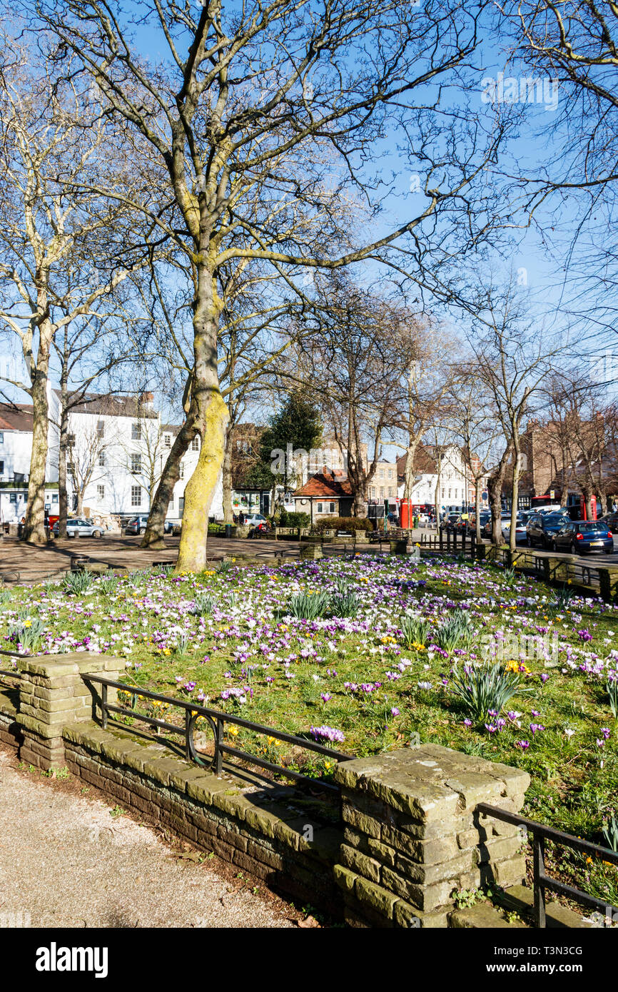 Highgate Pond Square High Resolution Stock Photography and Images - Alamy
