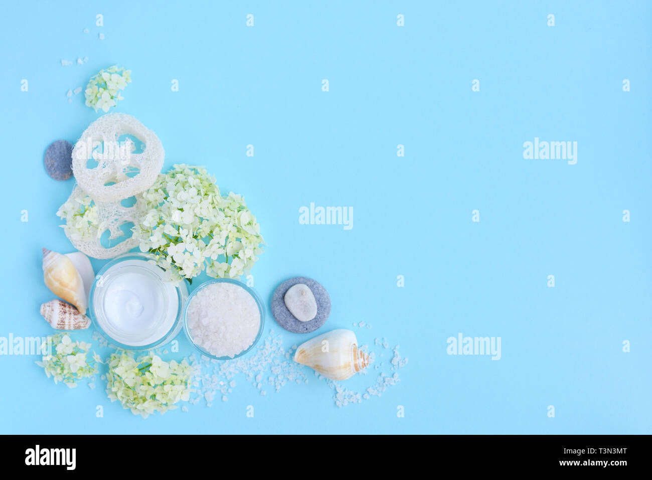 Spa composition with cream, salt, shells and flowers on a blue ...
