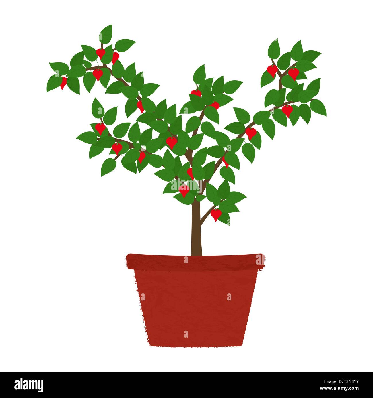 Indoor tree plant in Stock Vector Images - Alamy