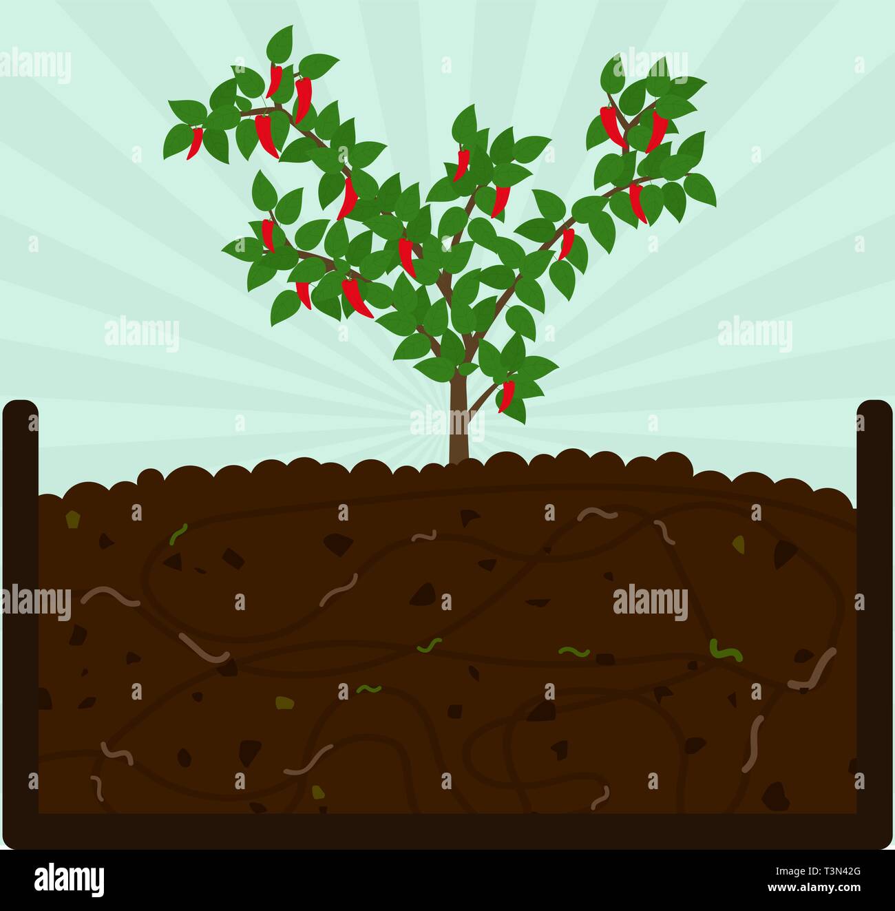 Chilli process Stock Vector Images - Alamy