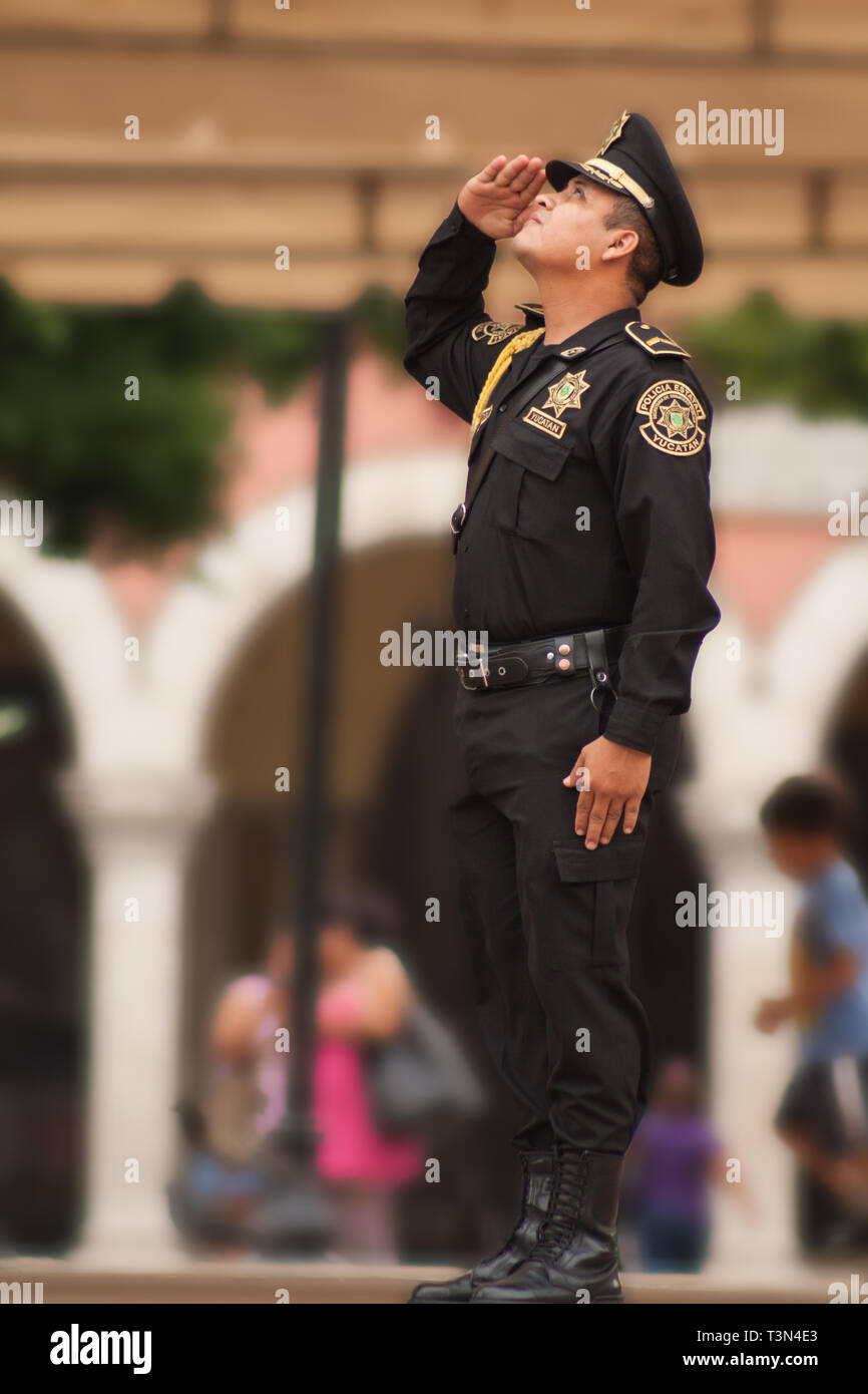 Police Salute Silhouette