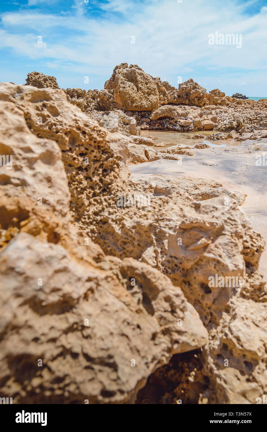Beach rocks, rocks with holes made by the waves of the sea. Spongy ...