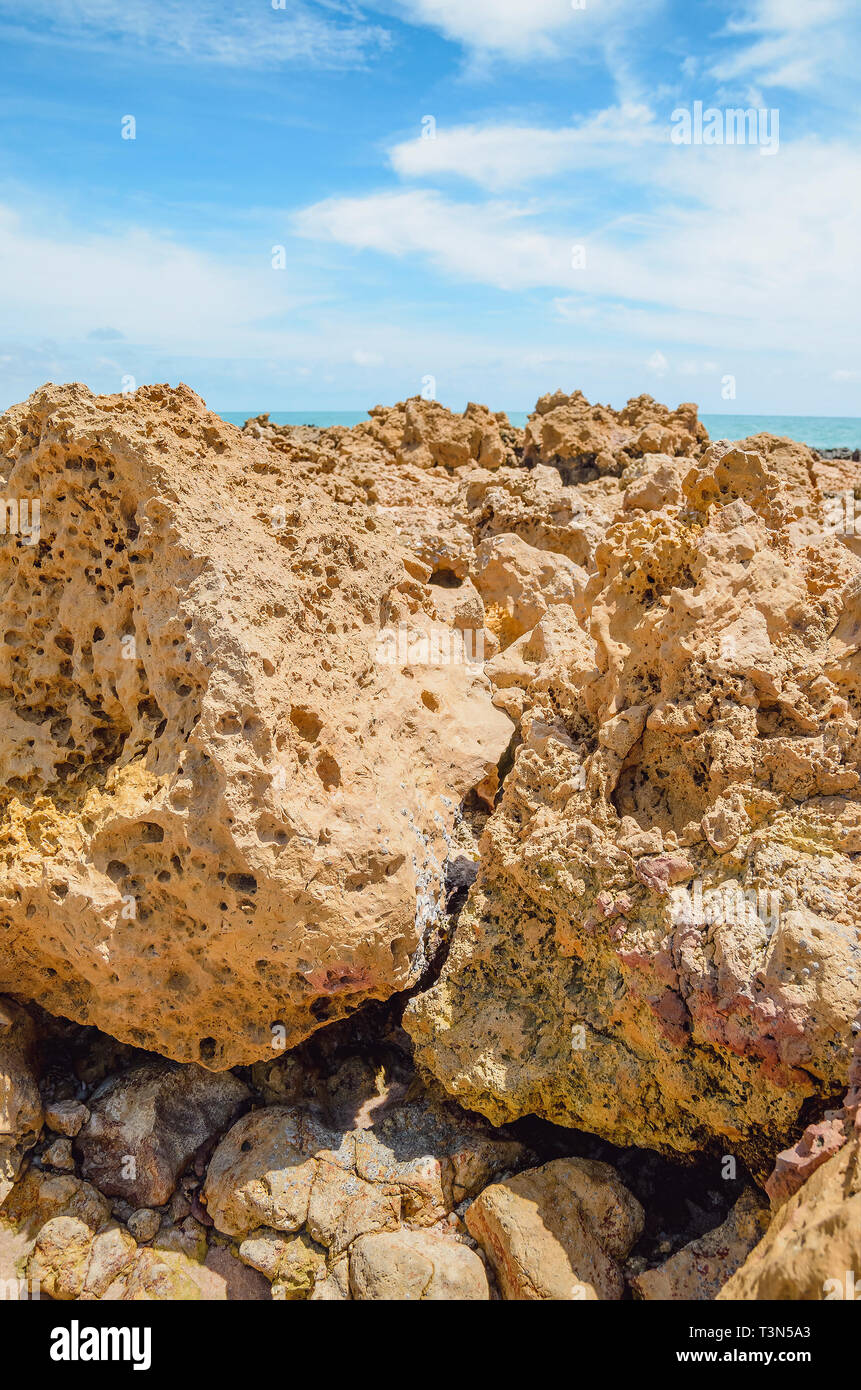 Beach rocks, rocks with holes made by the waves of the sea. Spongy ...
