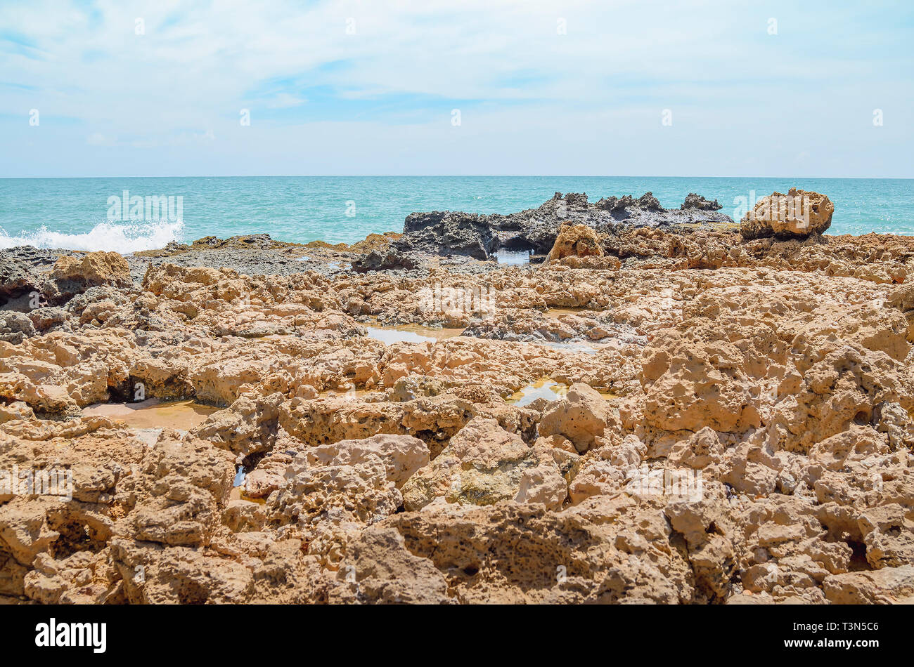 Spongy sea rock hi-res stock photography and images - Alamy