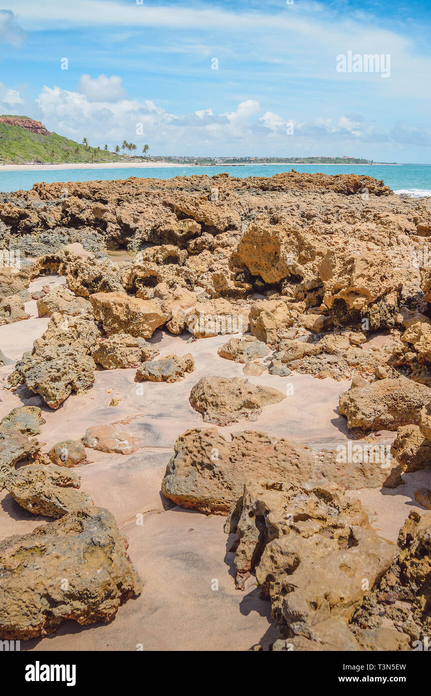 Beach rocks, rocks with holes made by the waves of the sea. Spongy ...
