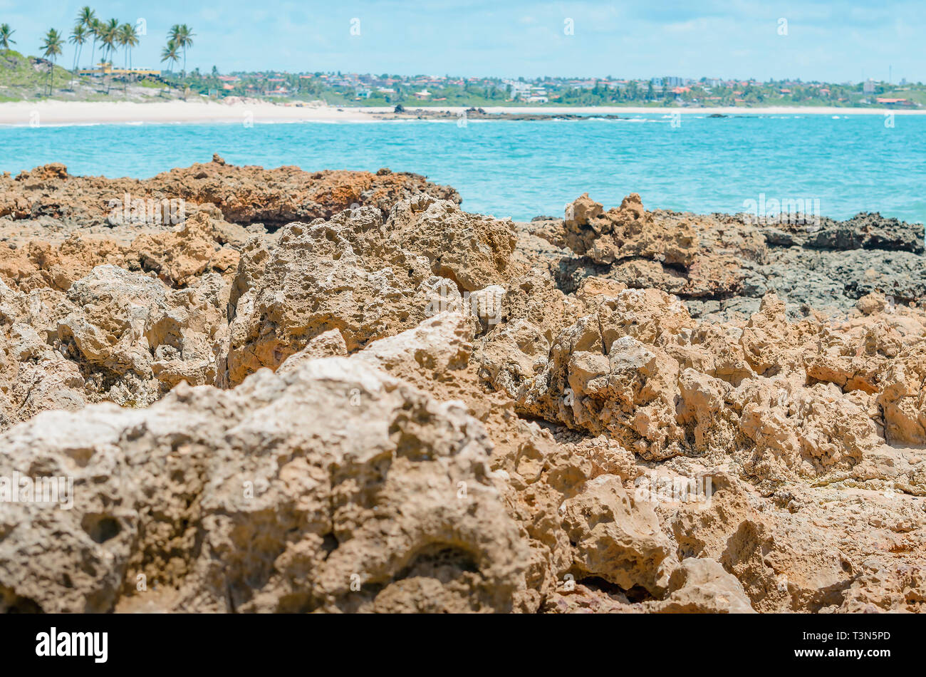 Beach rocks, rocks with holes made by the waves of the sea. Spongy ...