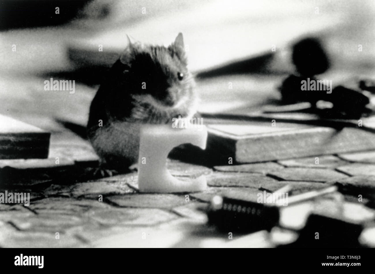 Scene from the movie Mouse Hunt, 1998 Stock Photo - Alamy