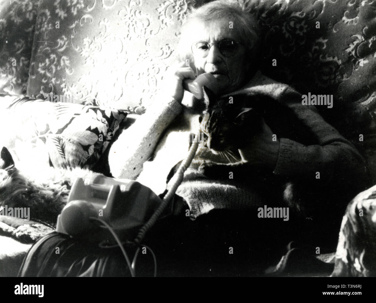 Renee In High Resolution Stock Photography and Images - Alamy