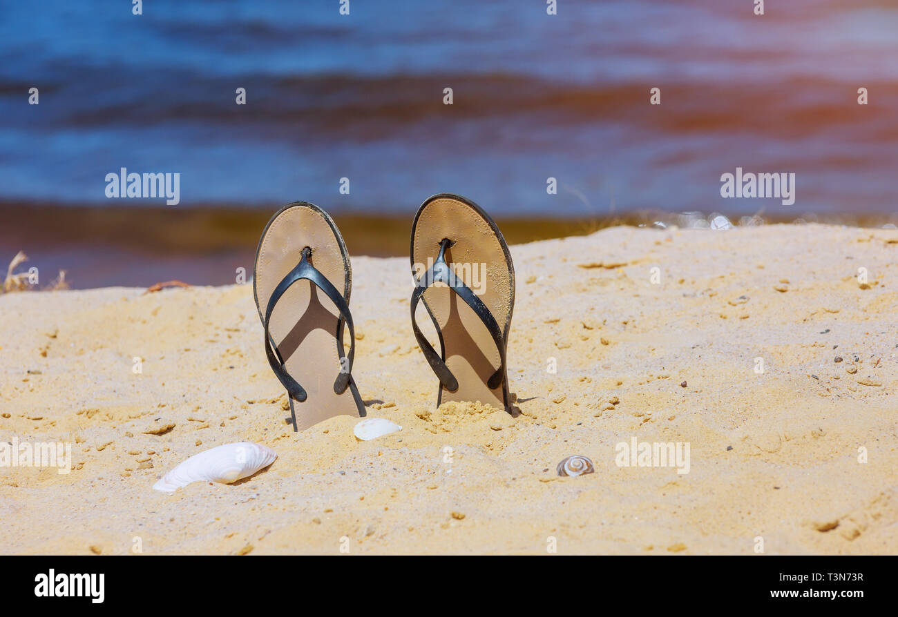 Concept beach holiday slippers hi-res stock photography and images - Alamy
