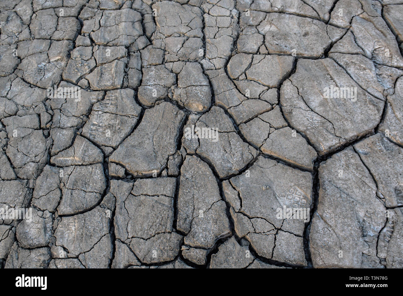 Sun dried ground, Berca Volcano, Romania Stock Photo - Alamy