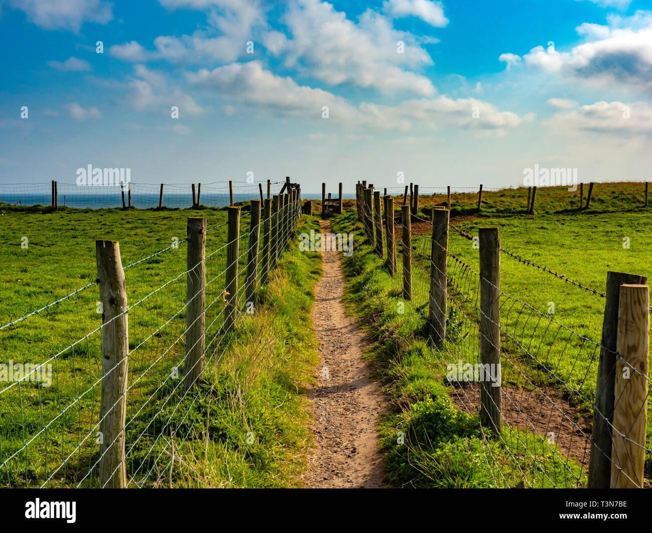 Foot path footpath hi-res stock photography and images - Alamy