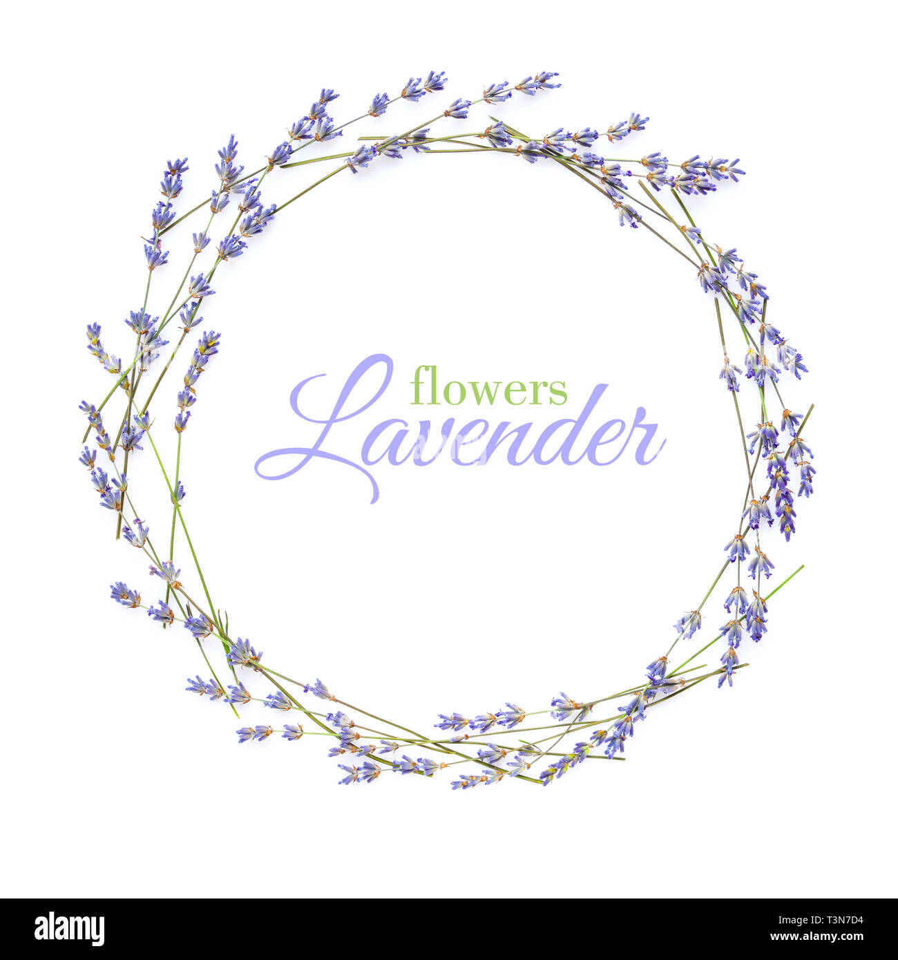 Circle template text on Cut Out Stock Images & Pictures - Alamy