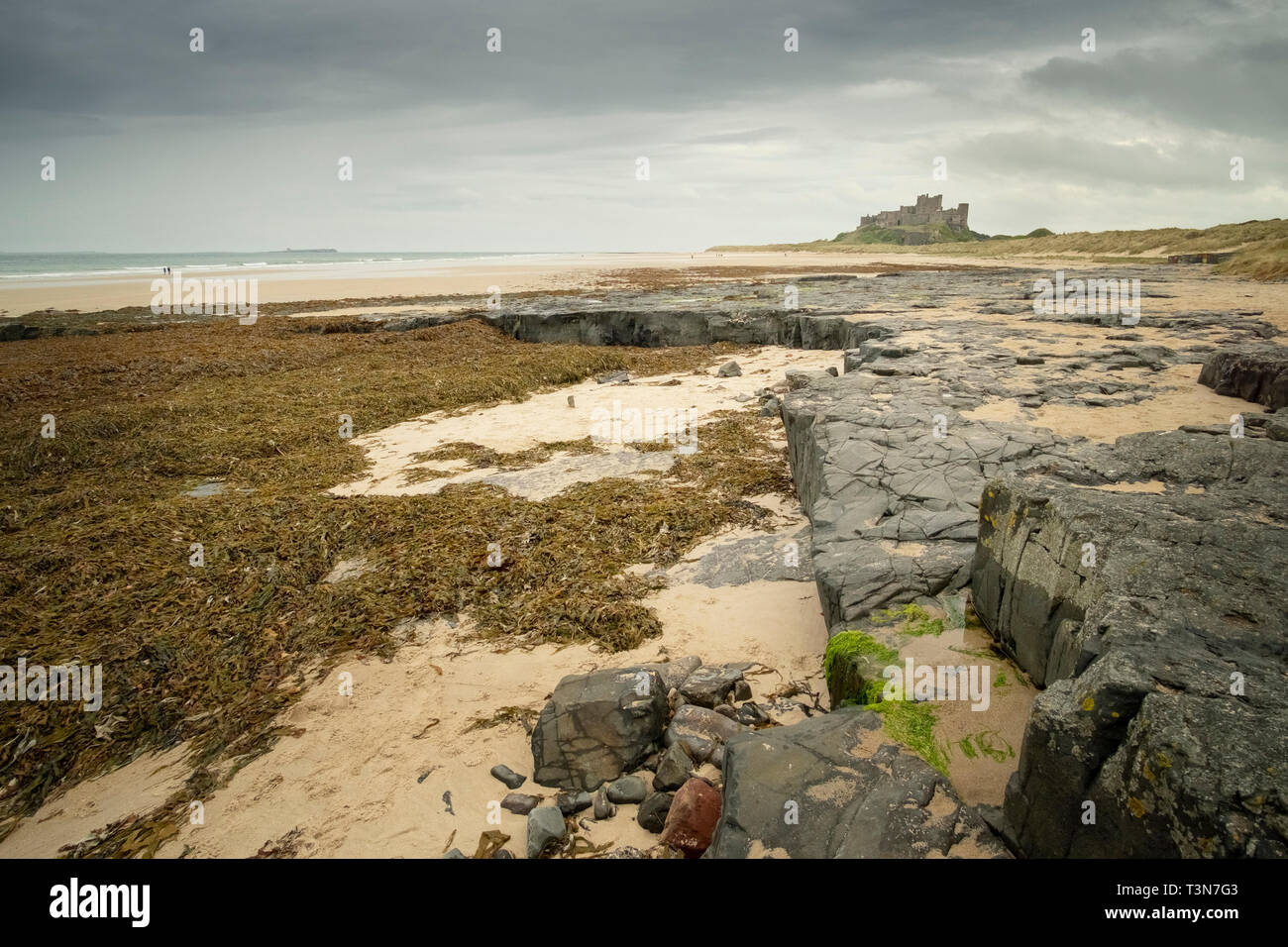 Bamburgh castle, brooding sky and beautiful empty beach, Northumberland ...