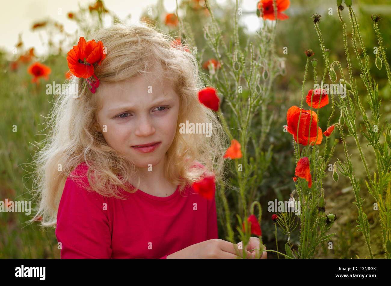 beautiful blond girl with red corn poppy flower Stock Photo - Alamy