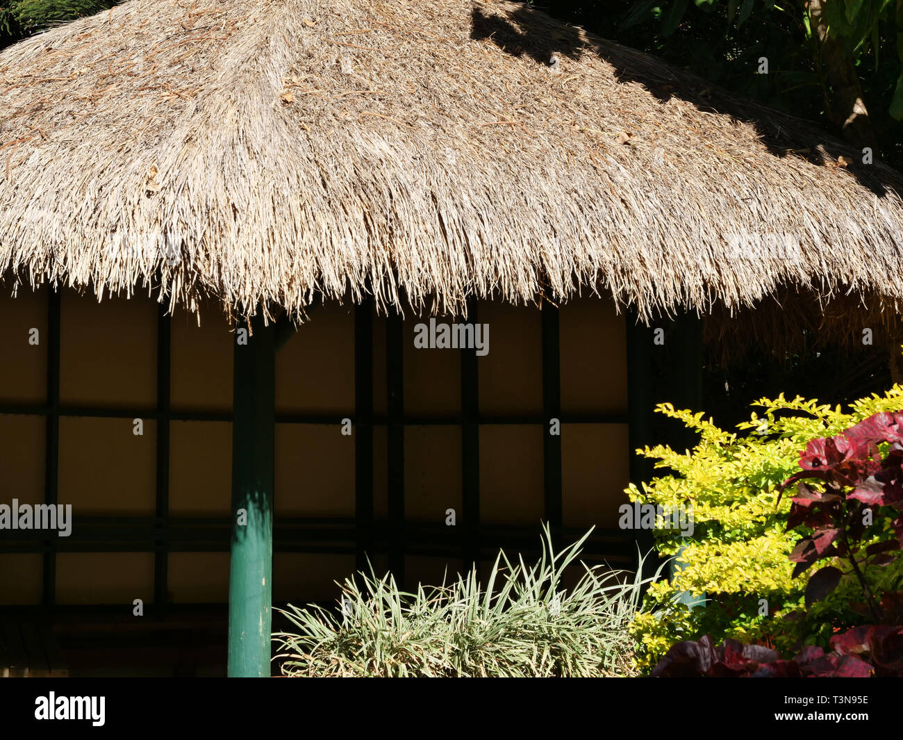 Perth parks in autumn hi-res stock photography and images - Alamy