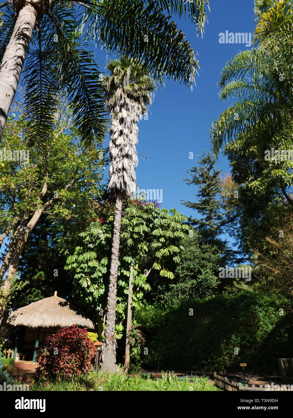 Wanneroo botanical garden hi-res stock photography and images - Alamy