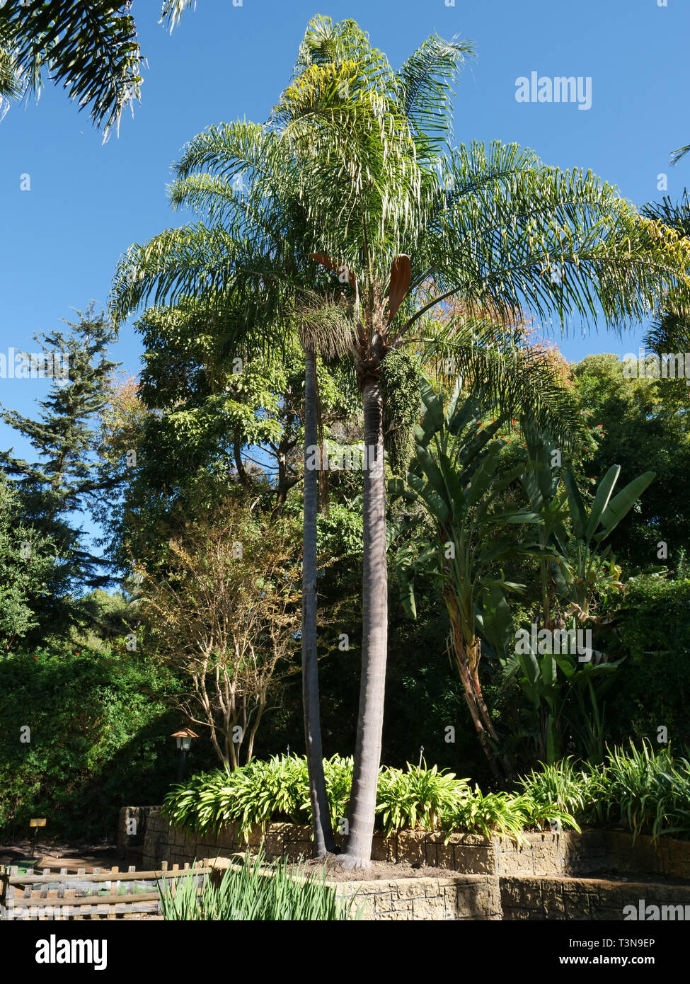 Wanneroo Botanical Garden has a mixture of native and imported garden ...