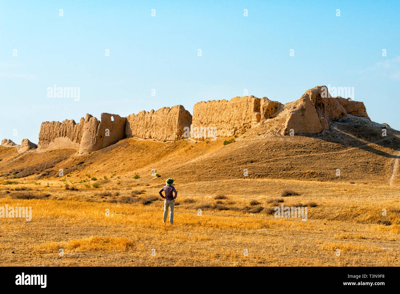 Ancient city of sauran hi-res stock photography and images - Alamy