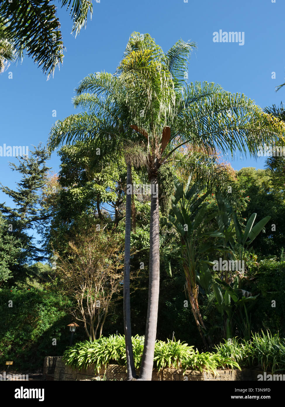 Perth parks in autumn hi-res stock photography and images - Alamy