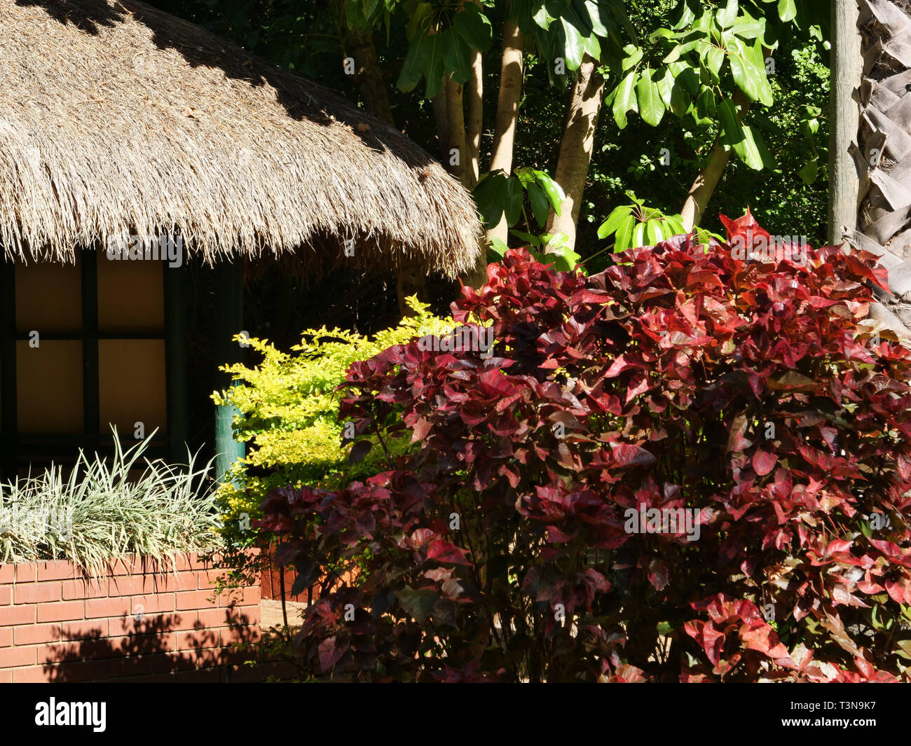 Wanneroo Botanical Garden has a mixture of native and imported garden ...