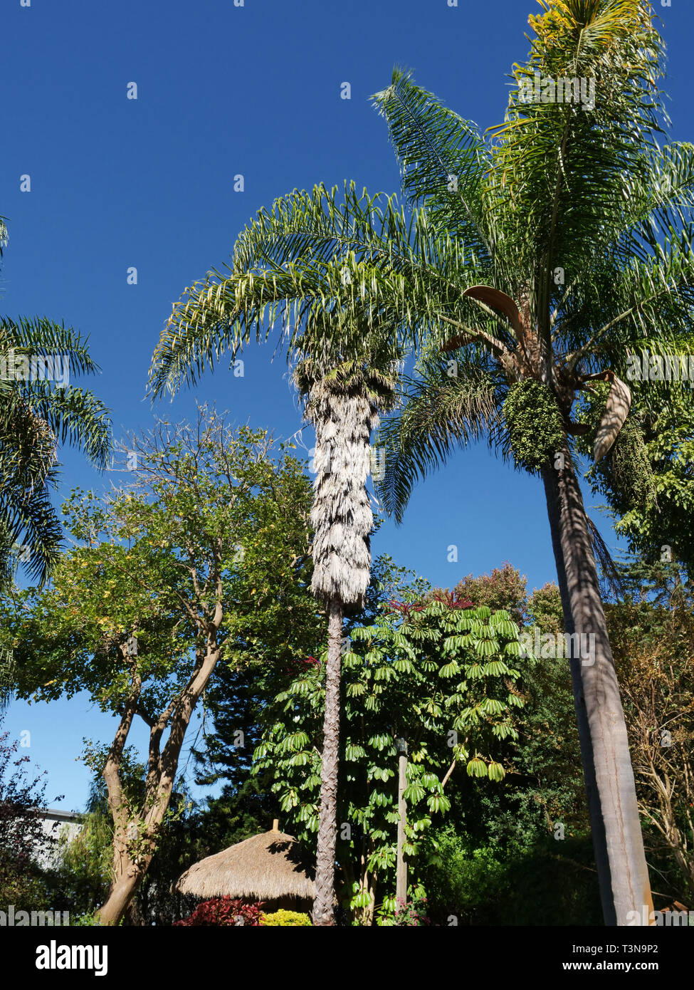 Perth parks in autumn hi-res stock photography and images - Alamy