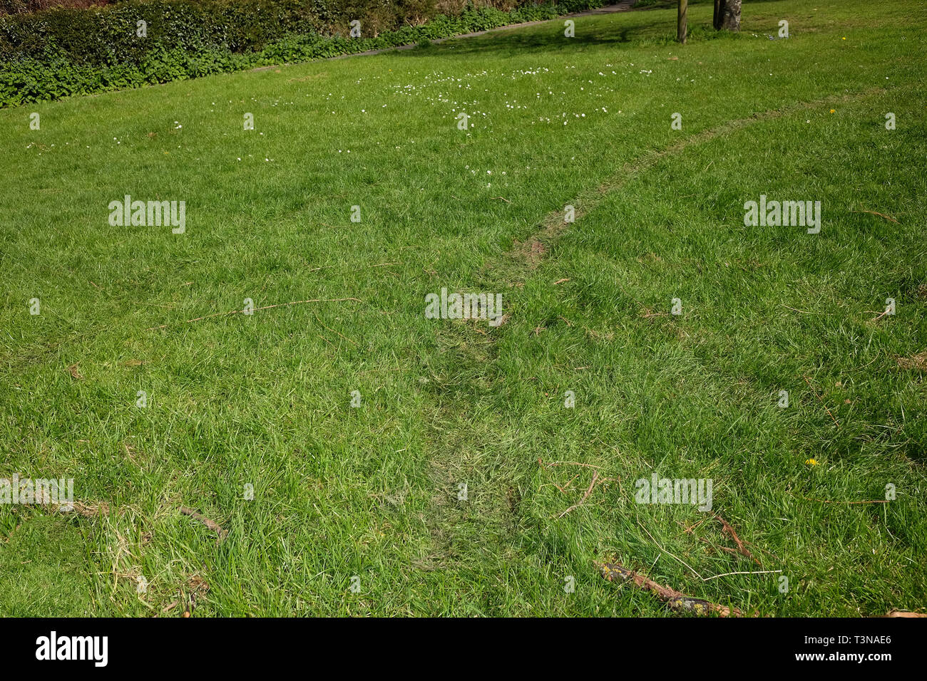 Tyre marks in grass hi-res stock photography and images - Alamy