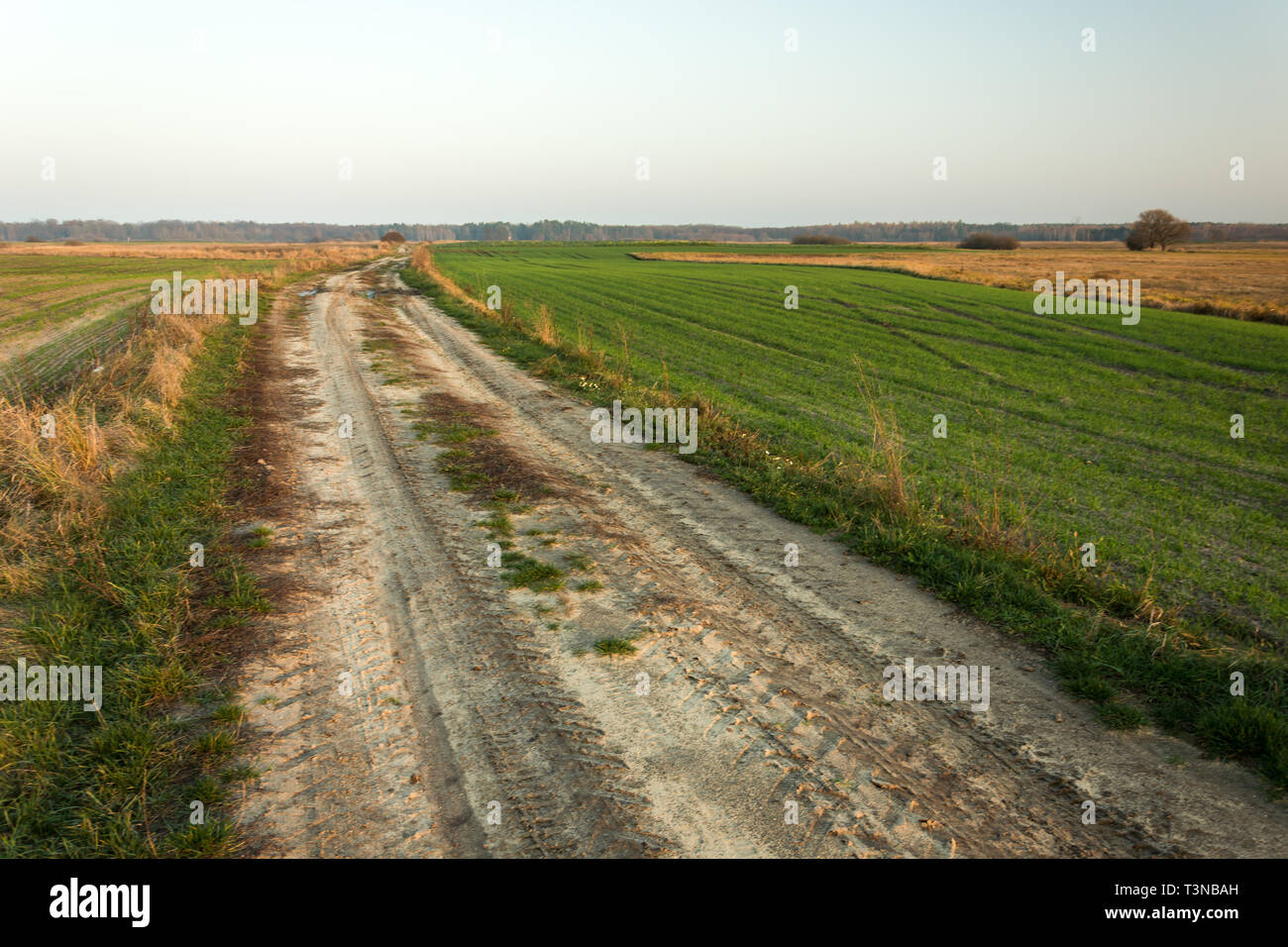 Long sandy road through green fields, horizon and sky - rural view ...