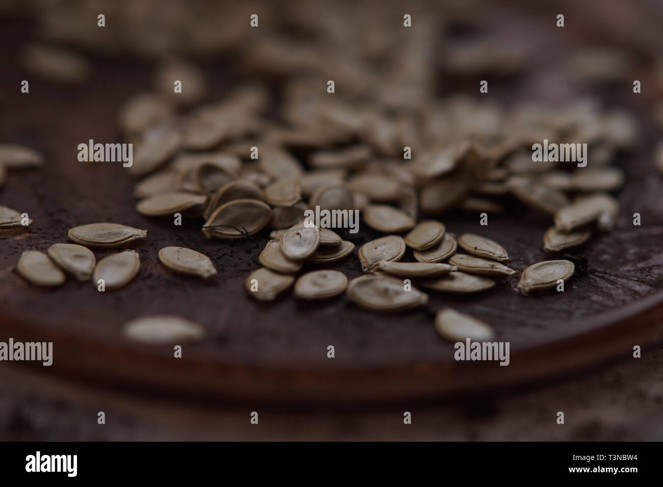 Seeds in plate hi-res stock photography and images - Alamy