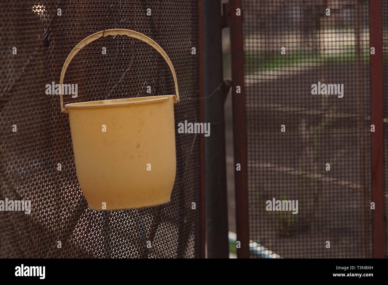 Yellow plastic bucket hanging on the fence net in a rural yard Stock ...