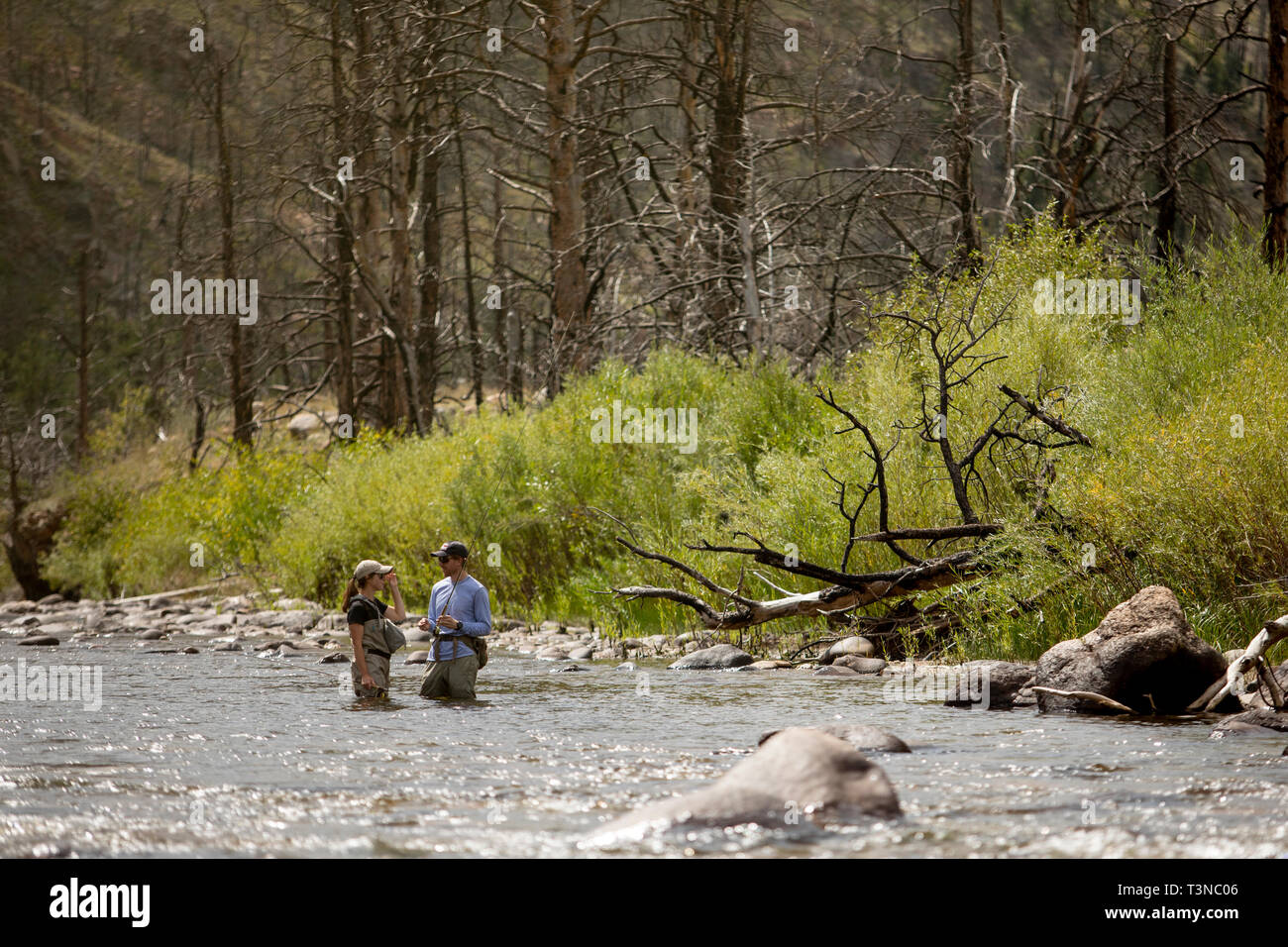 Female fly fishing guide hi-res stock photography and images - Alamy