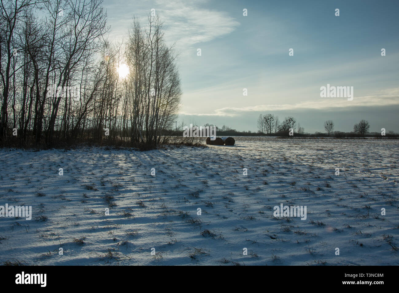 Sun behind forest and field covered with snow, cloud on blue sky Stock ...