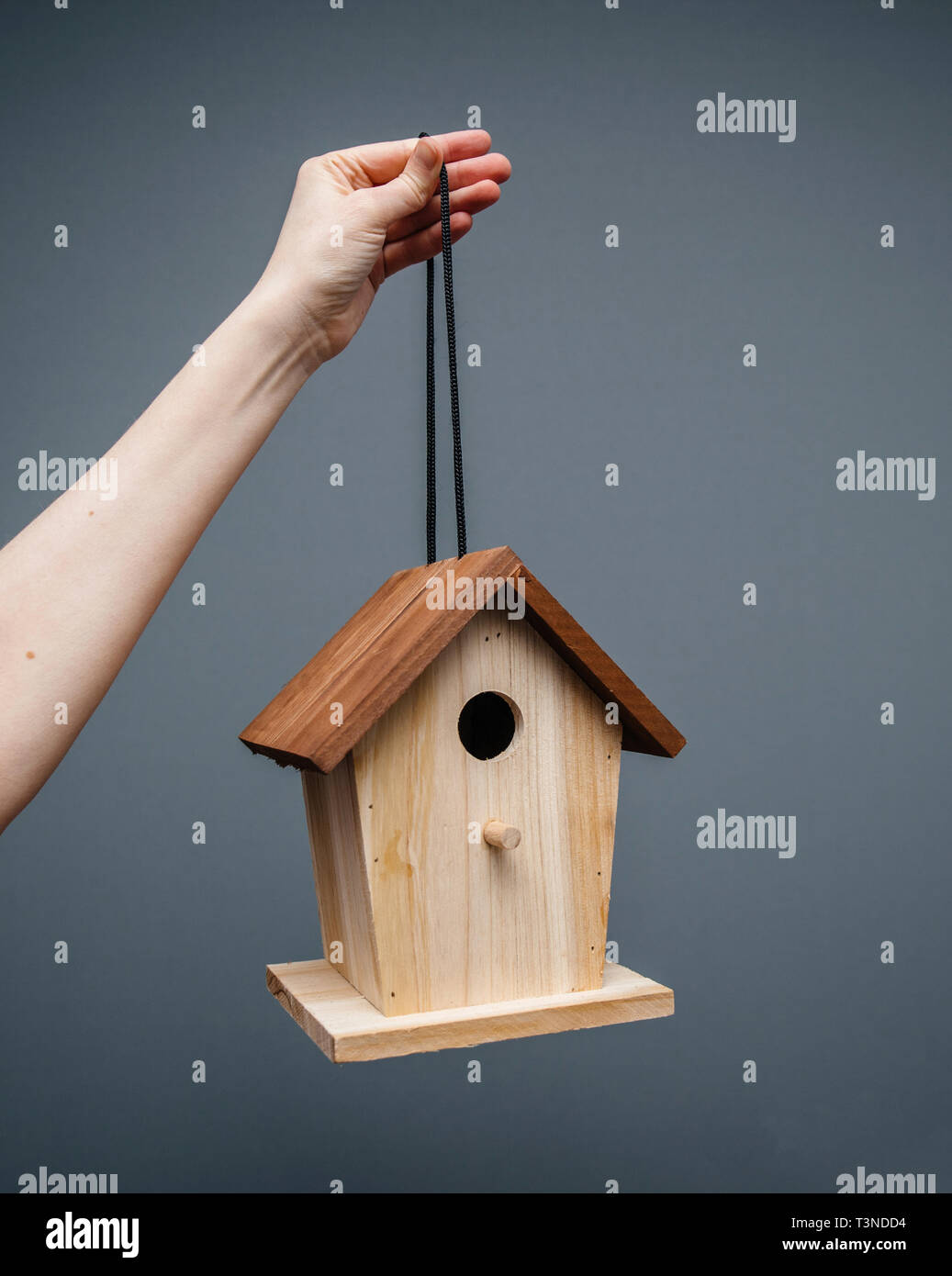 Adult woman hand holding hanged by a thread birds nesting birdhouse ...