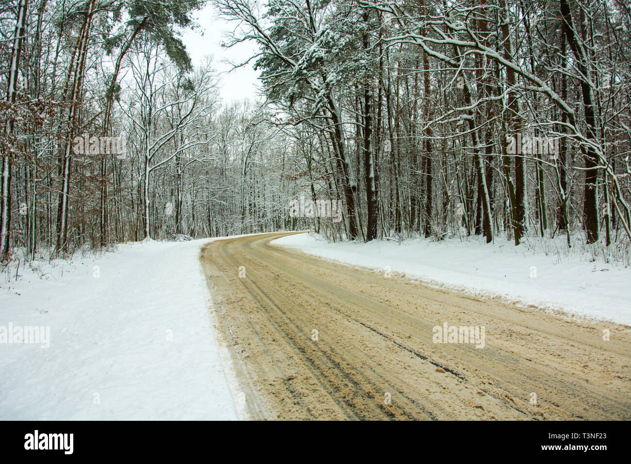 Sand with snow on the road through the forest - winter view Stock Photo ...