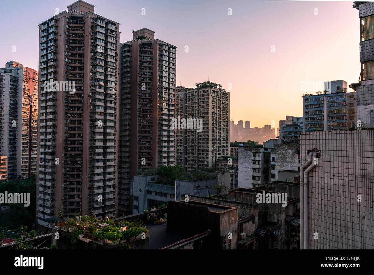 Chongqing china skyline hi-res stock photography and images - Alamy