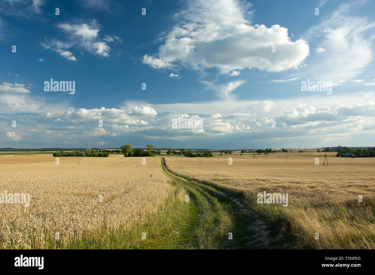 Agriculture road hi-res stock photography and images - Alamy