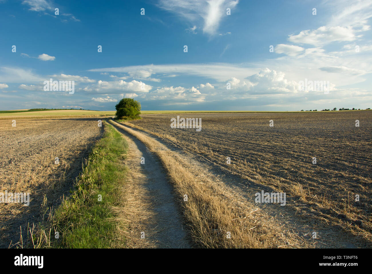 Plow through agriculture hi-res stock photography and images - Alamy