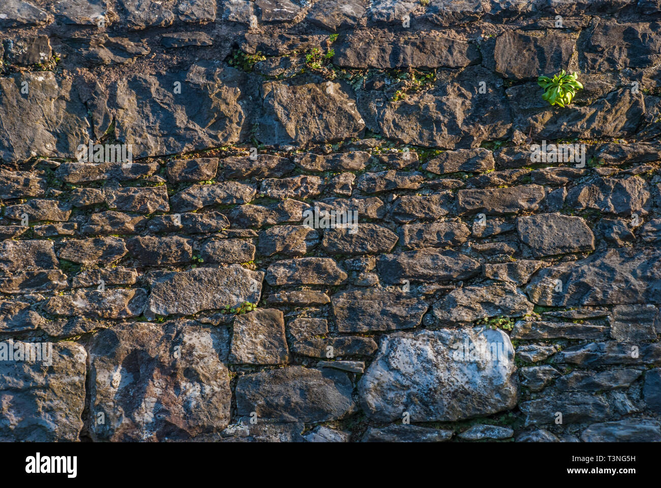 the old stone wall texture background natural color Stock Photo - Alamy