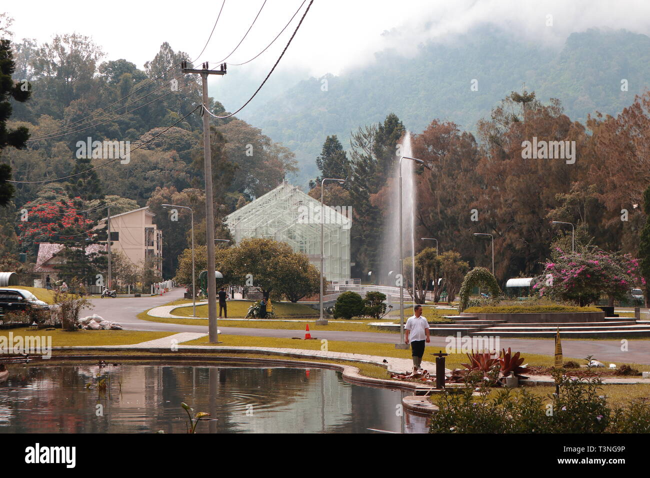 botanical garden with a large mountain Stock Photo - Alamy