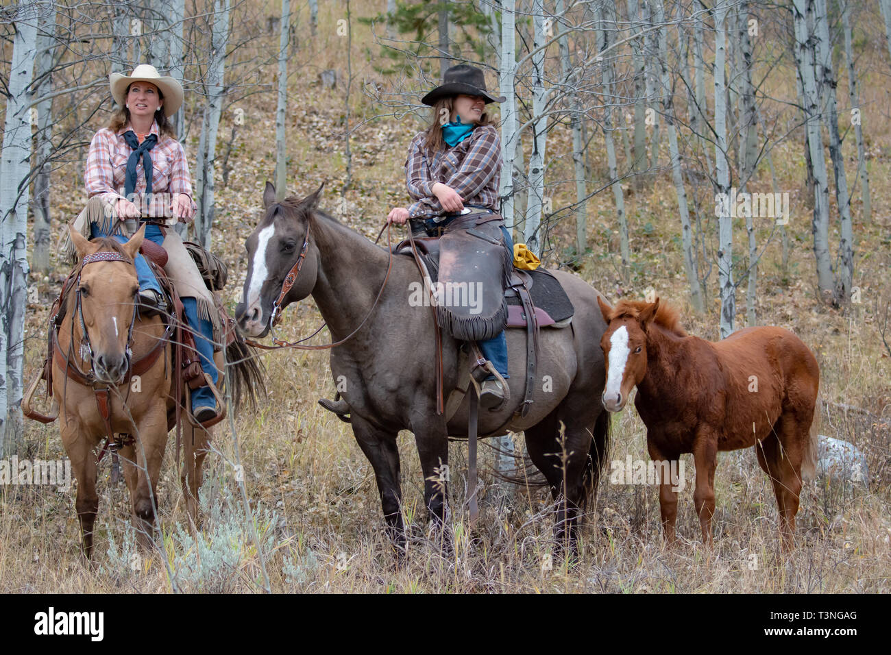 Cowgirls High Resolution Stock Photography and Images - Alamy