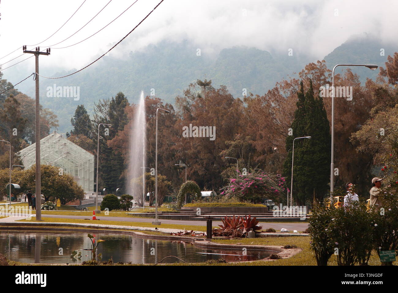 botanical garden with a large mountain Stock Photo - Alamy