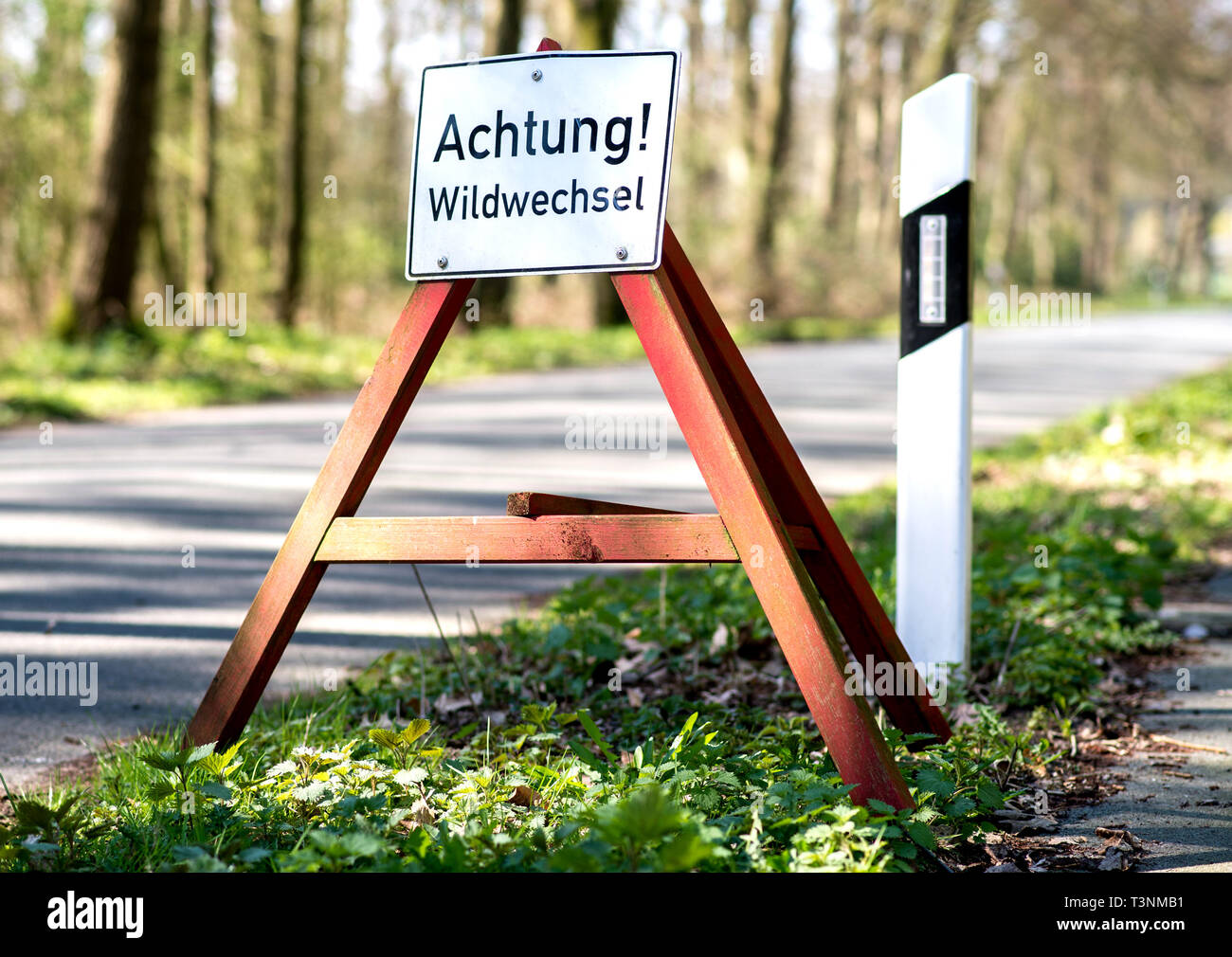 Traffic sign warning wildwechsel hi-res stock photography and images ...