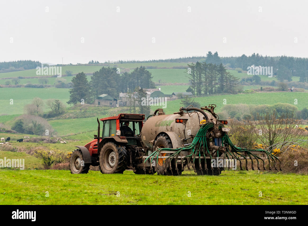 Slurry hi-res stock photography and images - Alamy