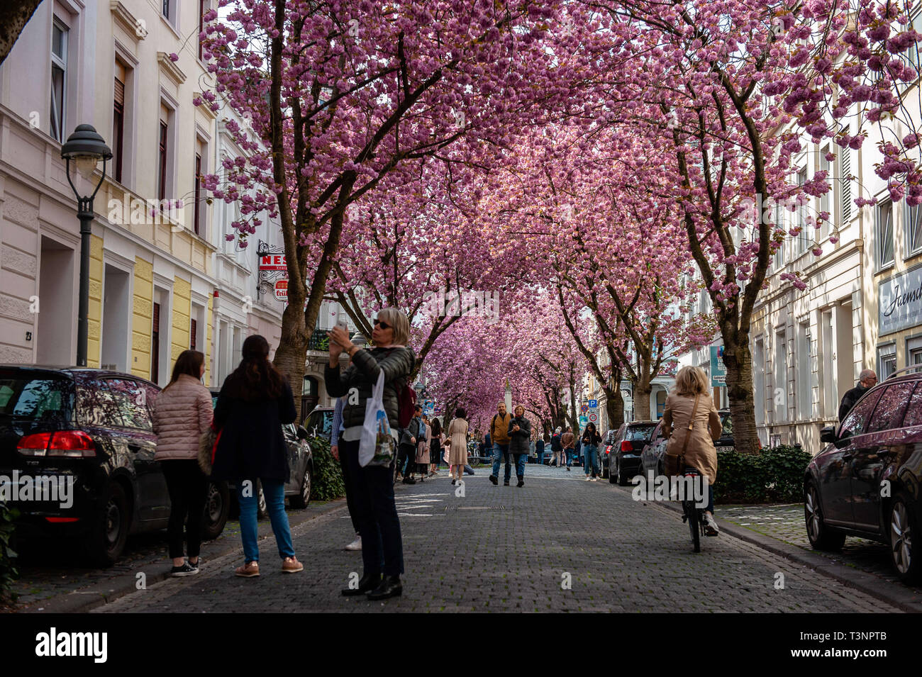 Bonn, Rhine, Germany. 10th Apr, 2019. Tourists are seen walking and ...